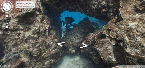 Google Maps adds underwater locations to Street View | Android Community