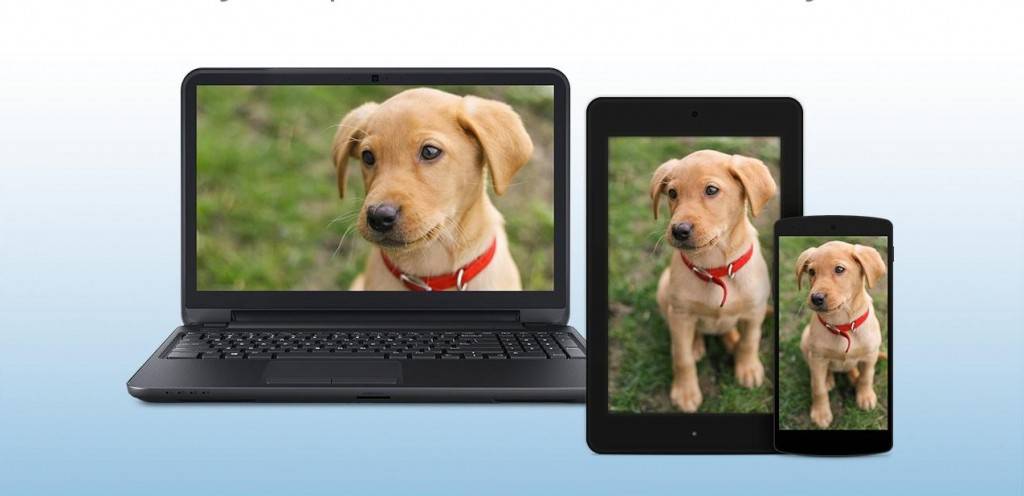 Amazon offers unlimited cloud storage plans - Android Community