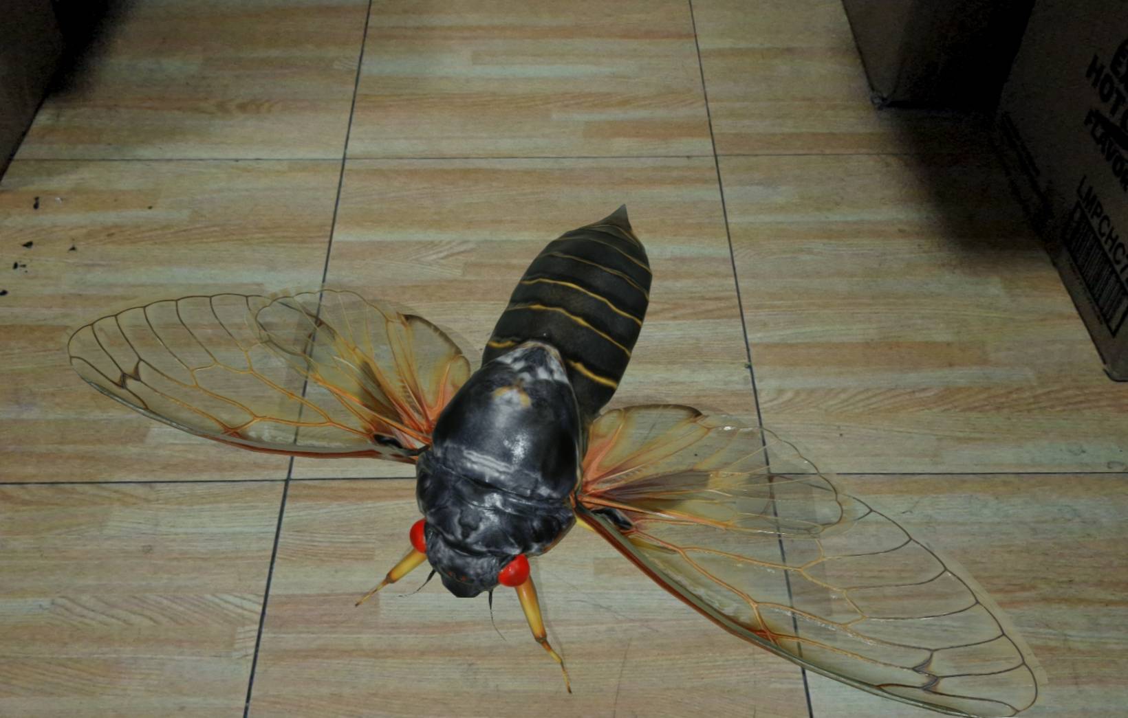Google now lets you play with digital insects in AR | Android Community